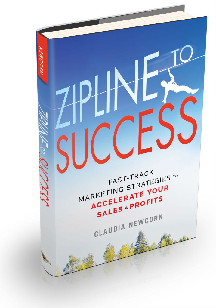 The Book – Zipline To Sucess